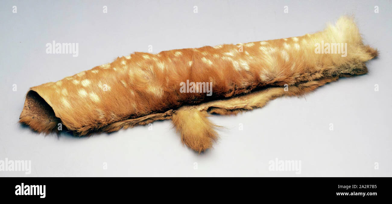 Meskwaki, Native American, Fawn Skin Wrapper, c. 1880, length X maximum ...