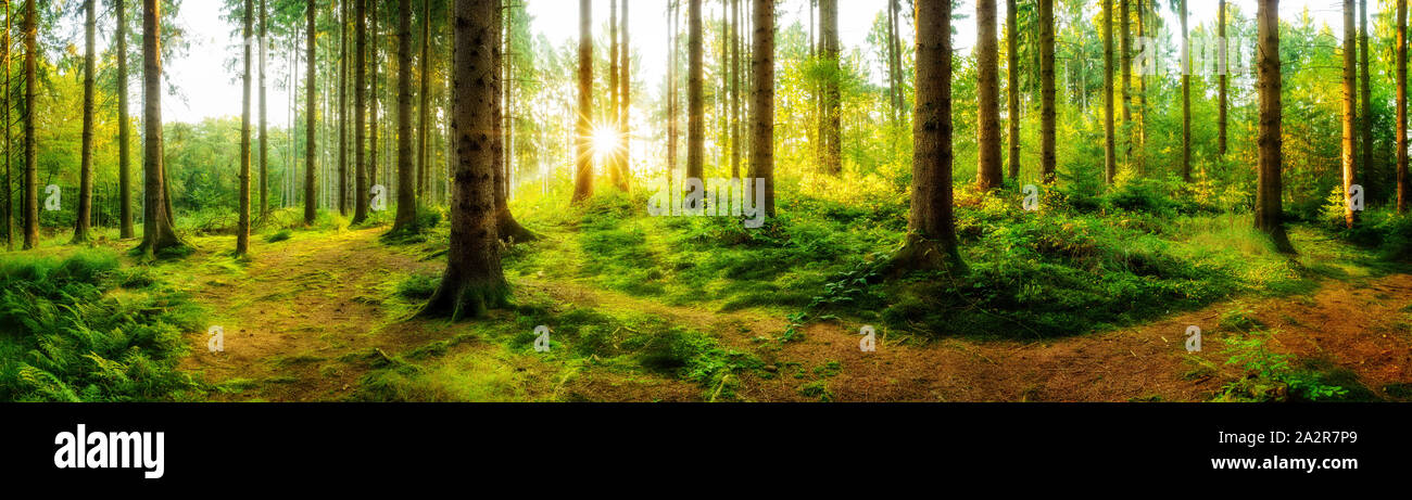 Idyllischer see hi-res stock photography and images - Alamy