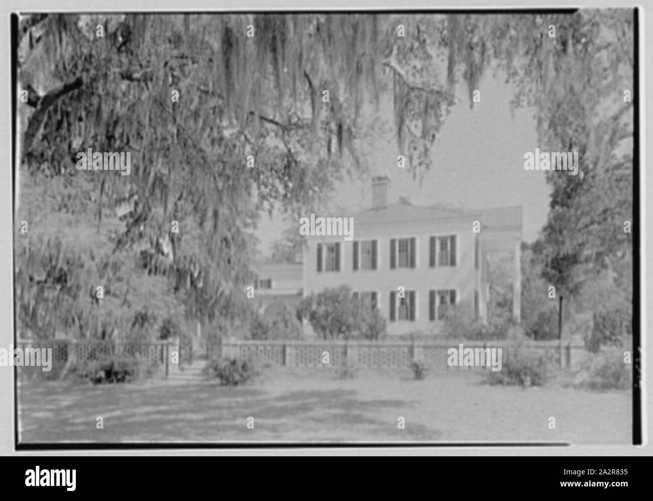 Radcliffe Cheston, Jr., Friendfield Plantation, residence in Georgetown ...