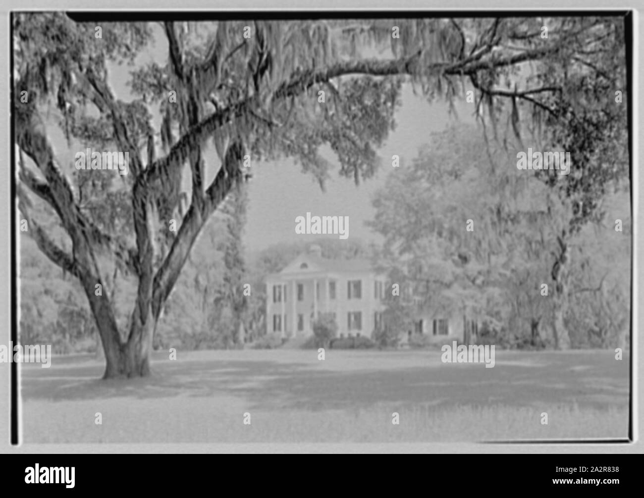 Radcliffe Cheston, Jr., Friendfield Plantation, residence in Georgetown ...