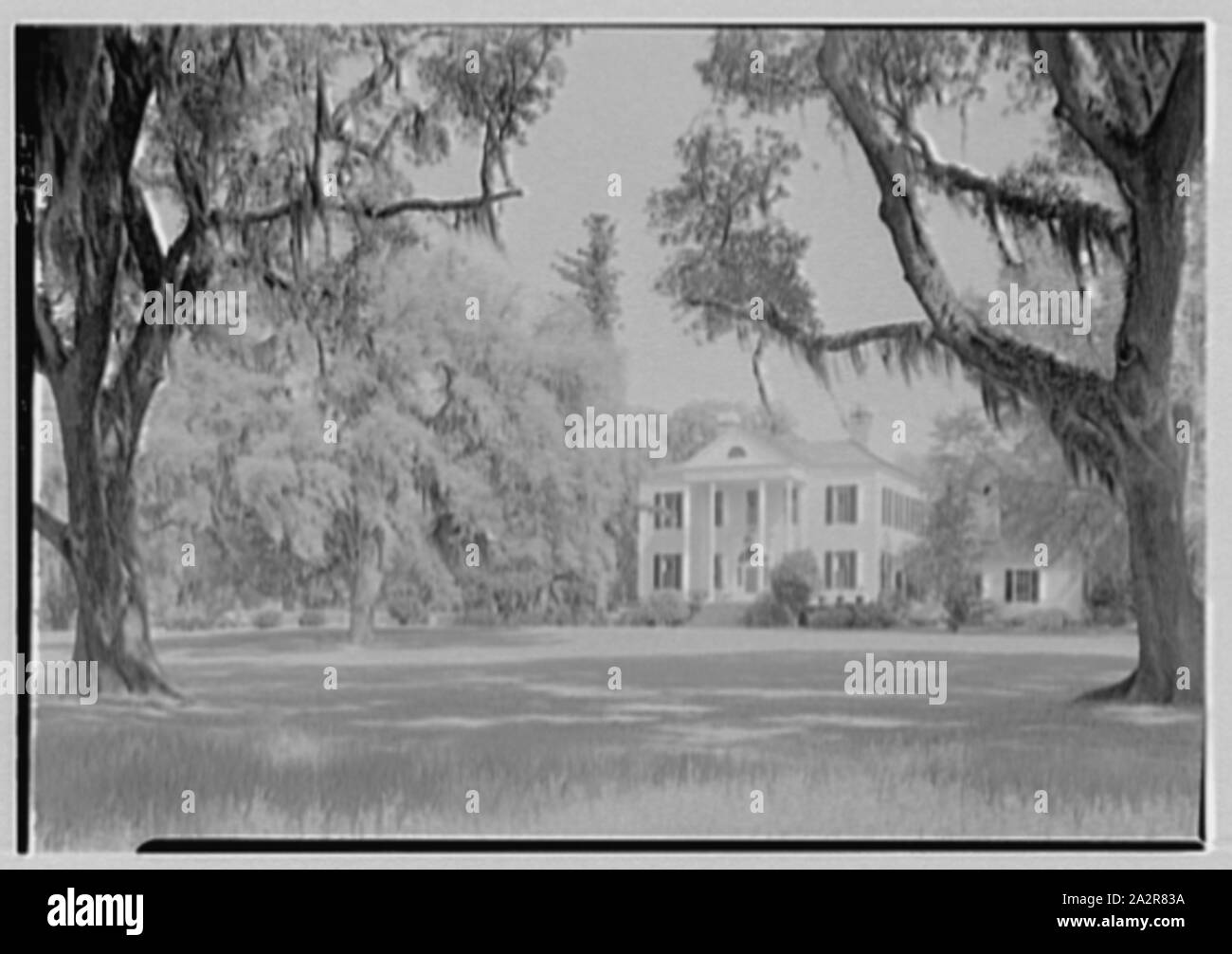 Radcliffe Cheston, Jr., Friendfield Plantation, residence in Georgetown ...