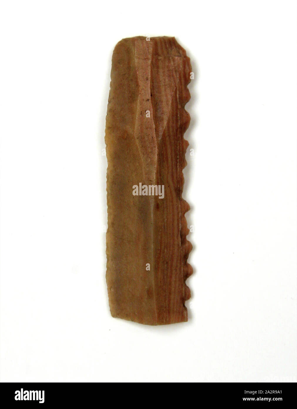 Bladelet hi-res stock photography and images - Alamy