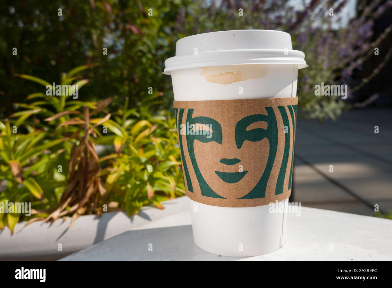Starbucks Coffee to-go on a patio table, USA Stock Photo - Alamy