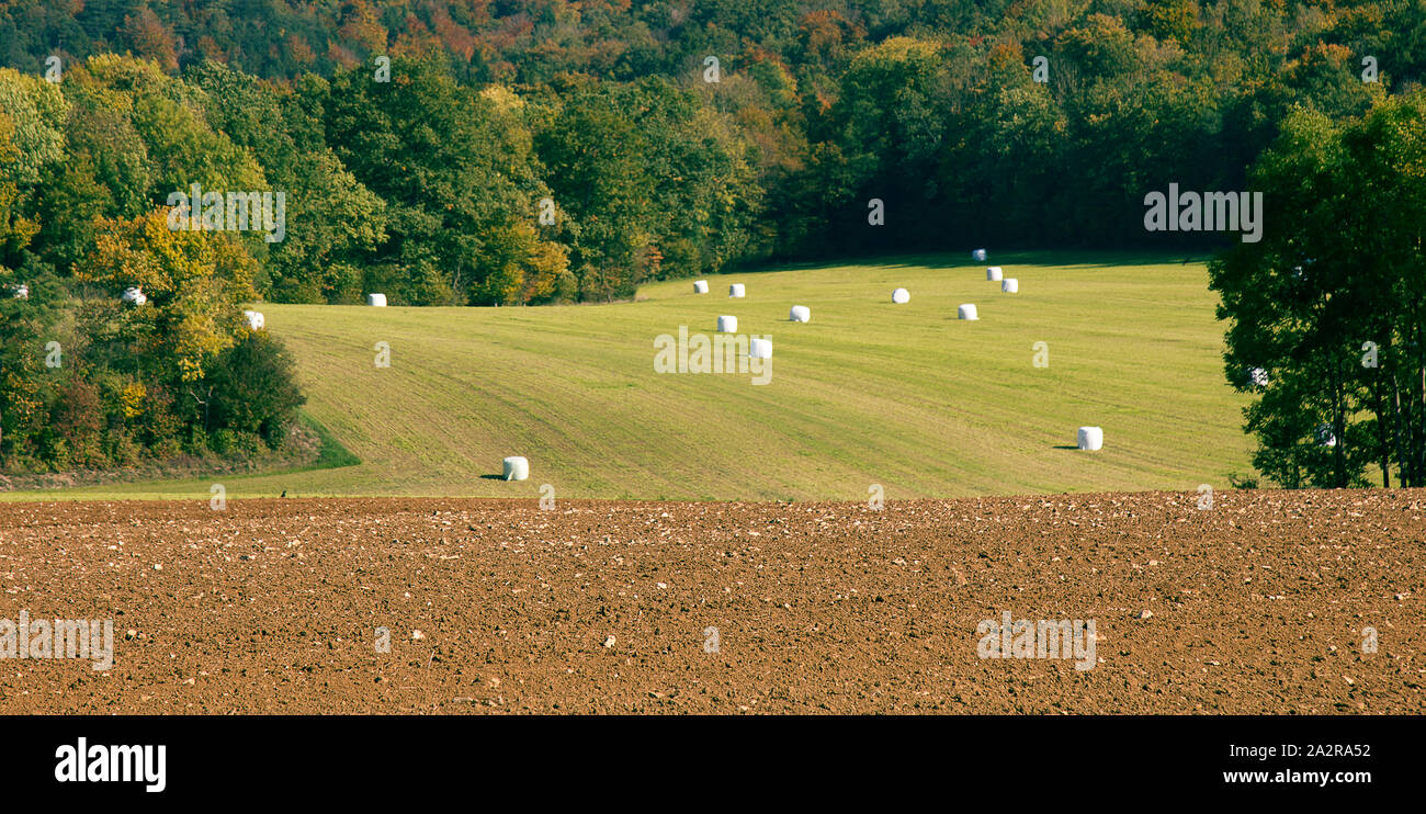 The crop in the fields is harvested, plowing and sowing of winter crops ...