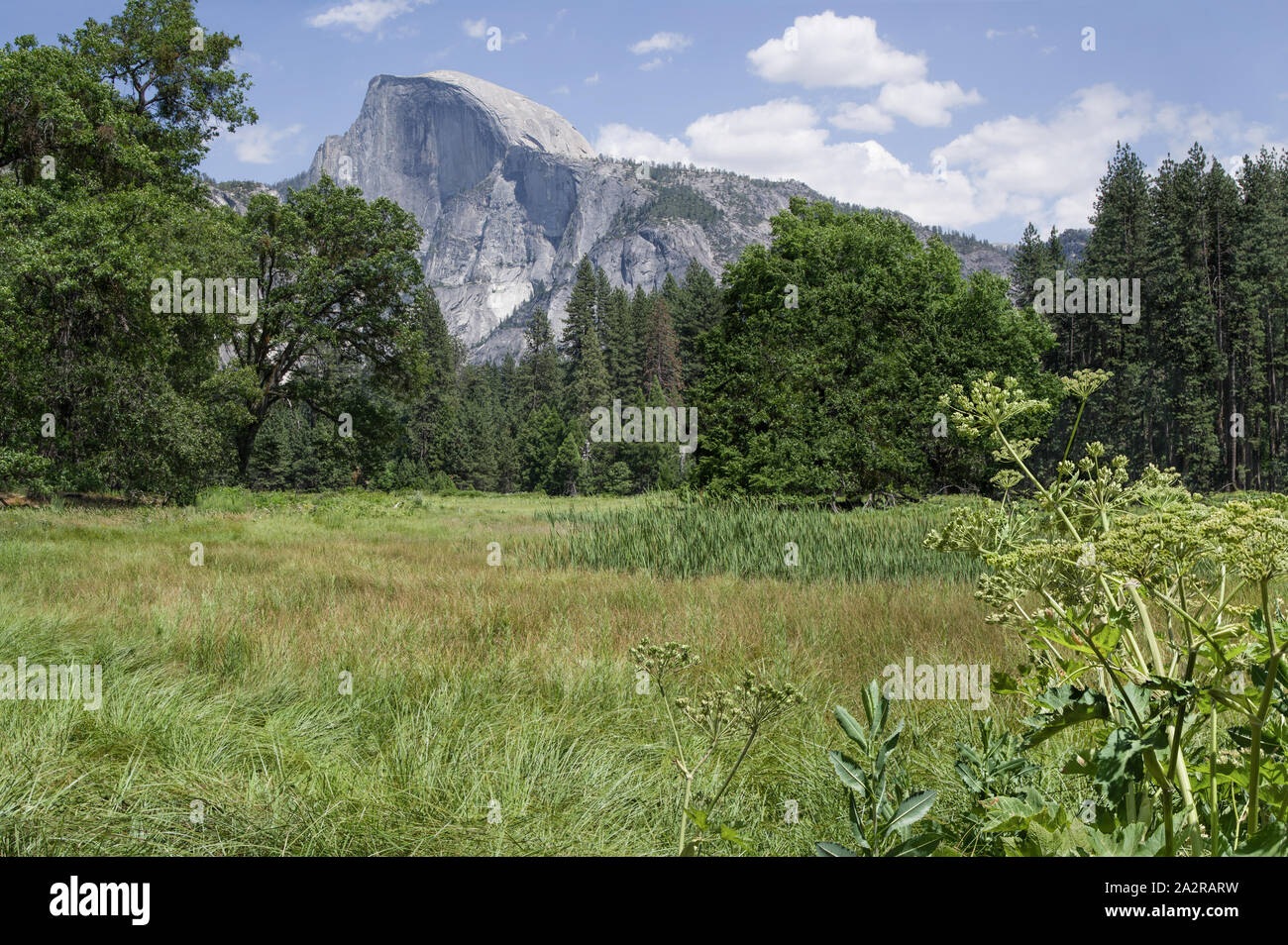 Grass dome hi-res stock photography and images - Alamy
