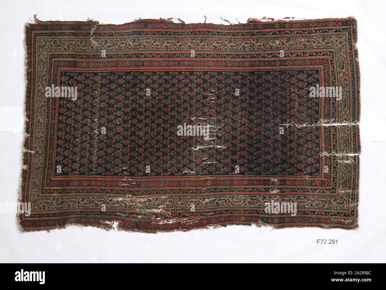 Islamic, Iranian, Boteh Rug, c. 1850, Wool pile on a cotton foundation ...