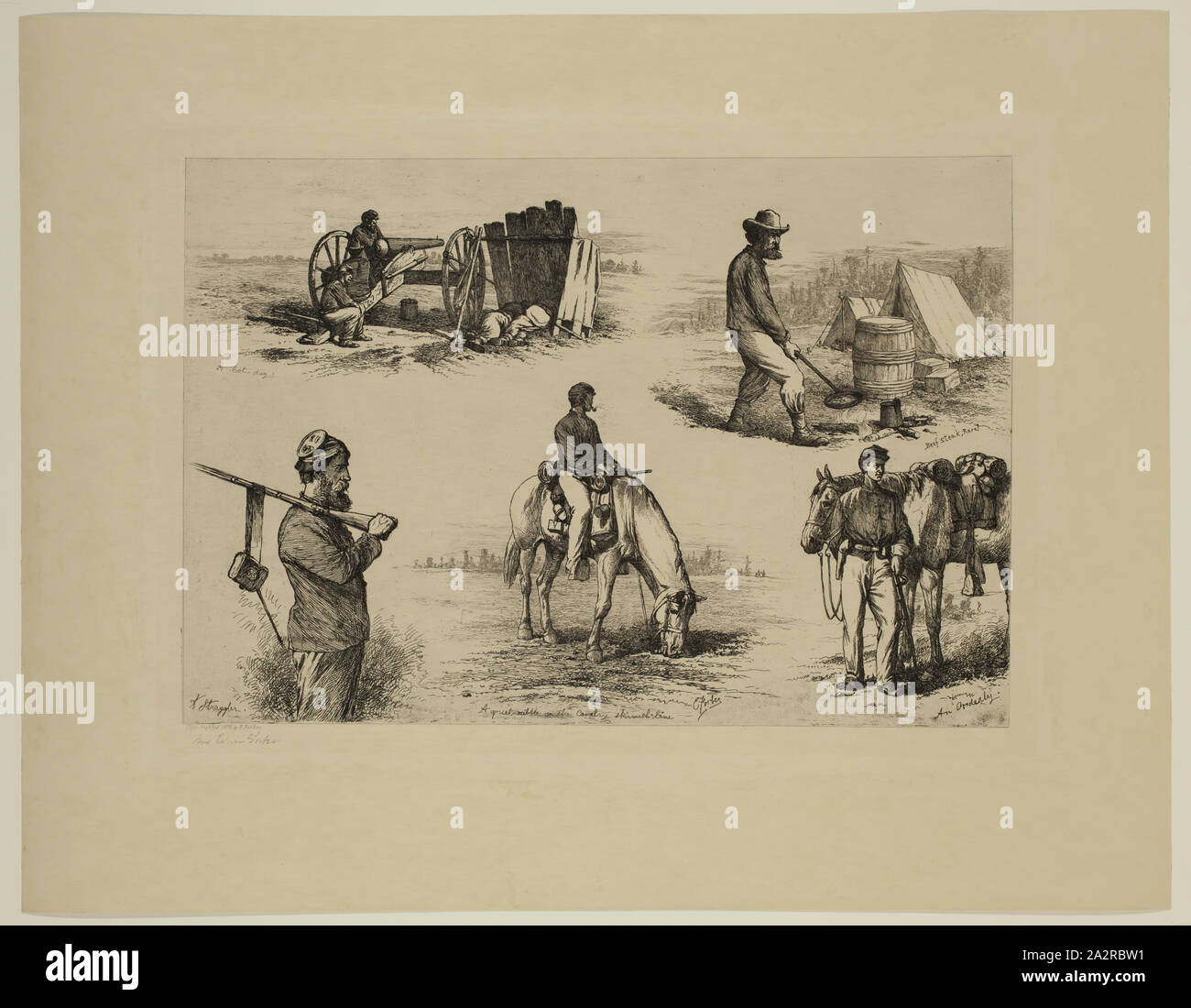 Quiet nibble hi-res stock photography and images - Alamy