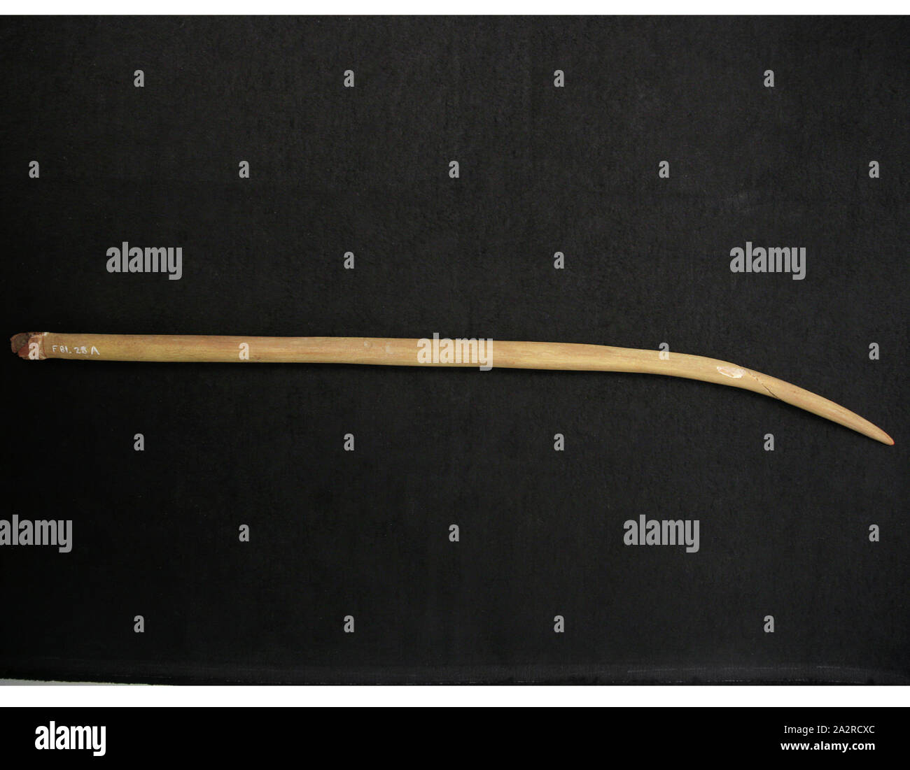 1800 1700 bc hi-res stock photography and images - Alamy