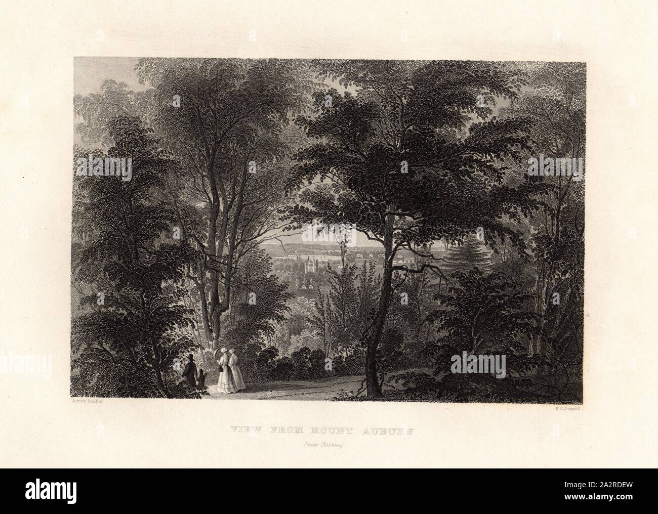 Cornelia w hi-res stock photography and images - Alamy