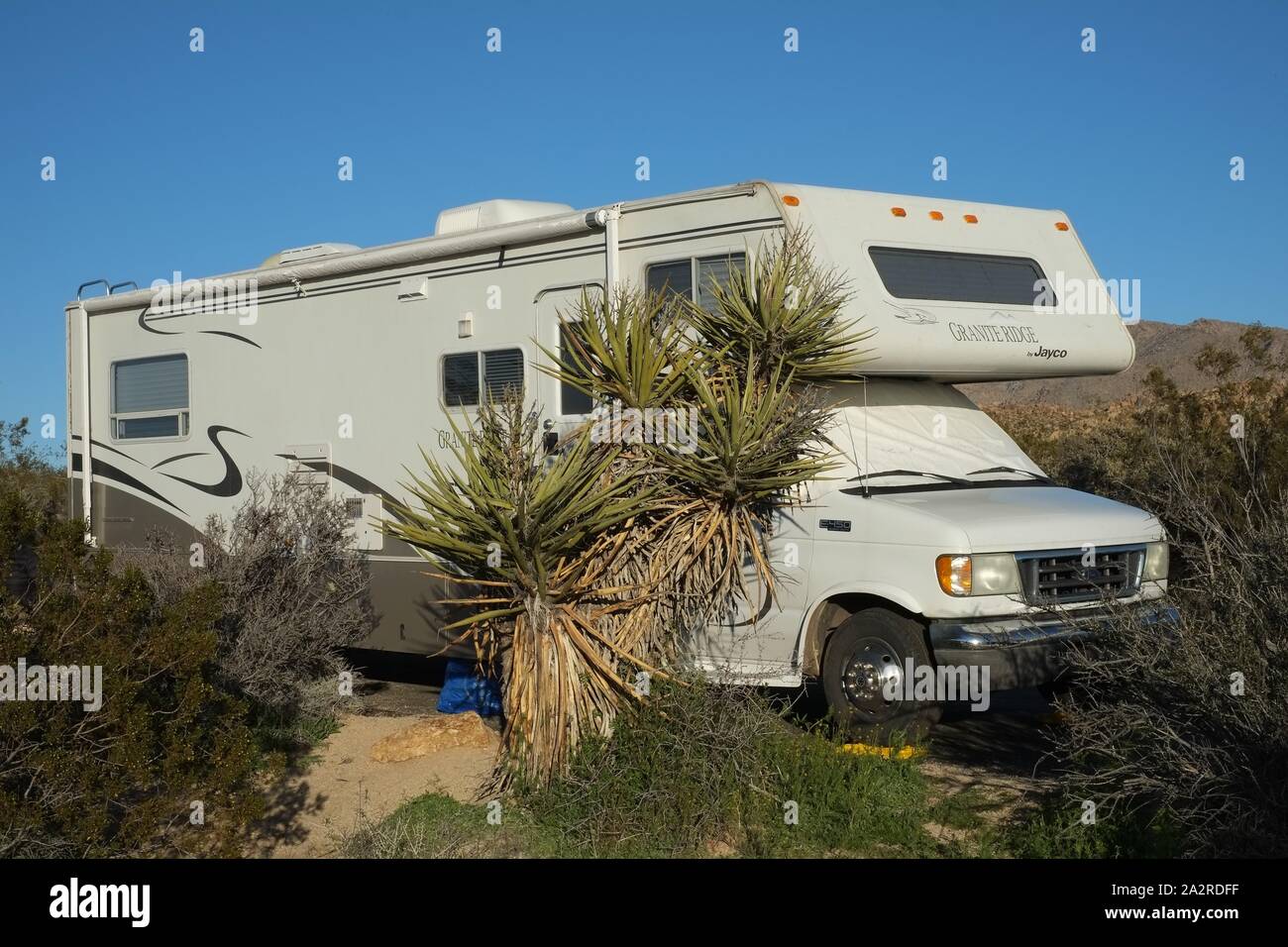 RV in Joshua Tree National Park, California, USA Stock Photo - Alamy