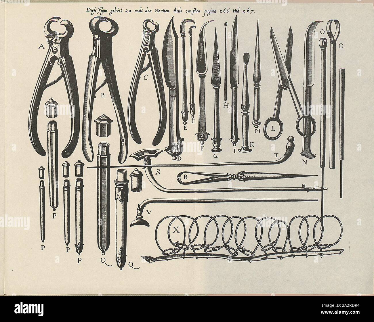Falconry tools hi-res stock photography and images - Alamy