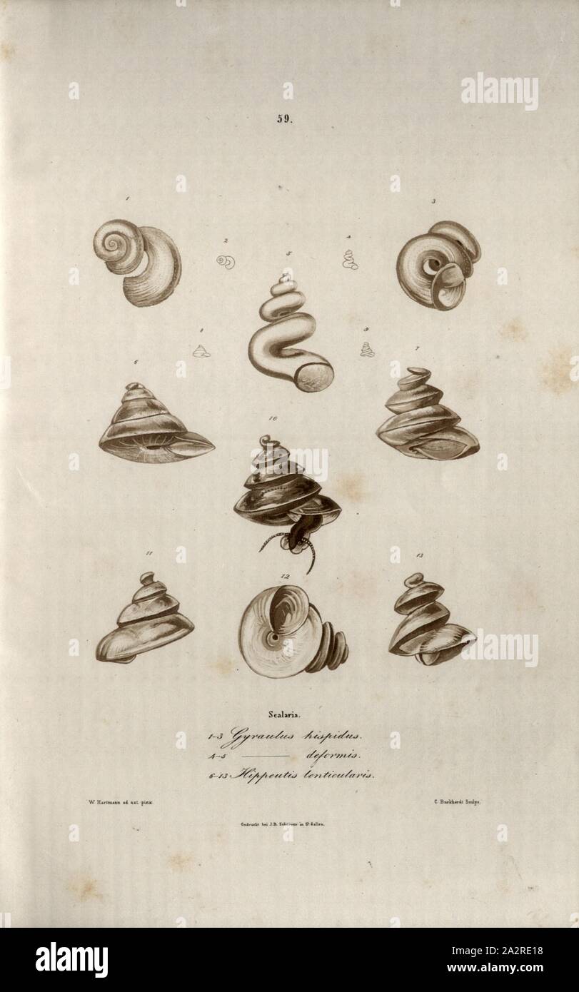 W 4 59 13 hi-res stock photography and images - Alamy