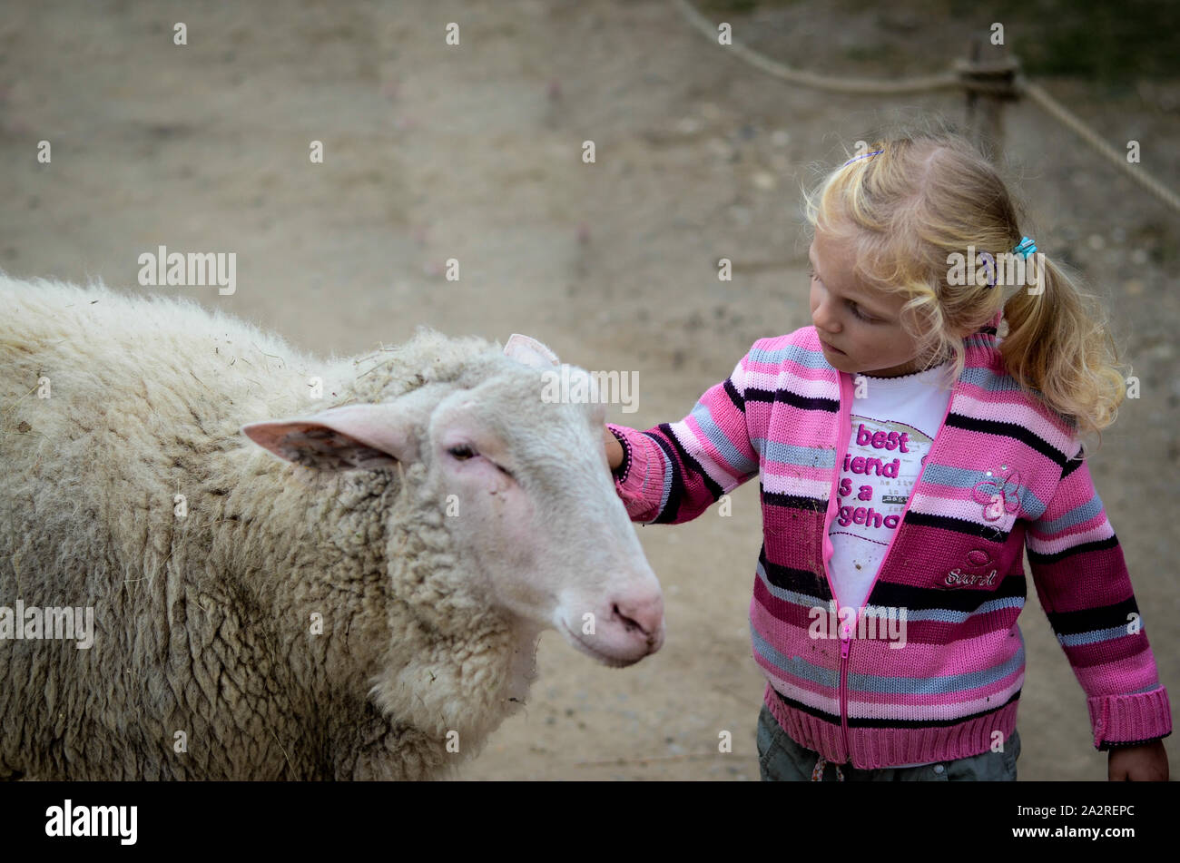 blond child caressing a goat Stock Photo - Alamy