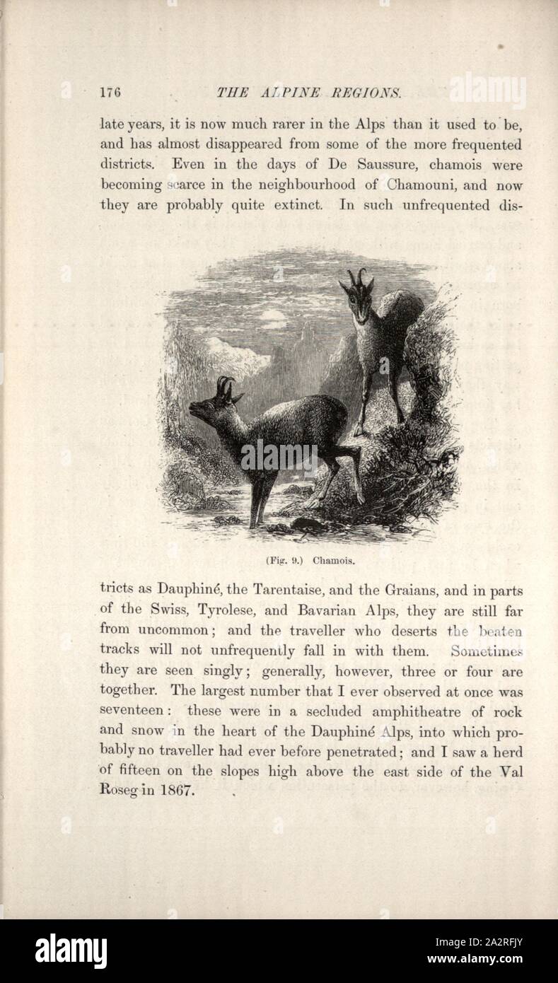 Thomas george bonney hi-res stock photography and images - Alamy