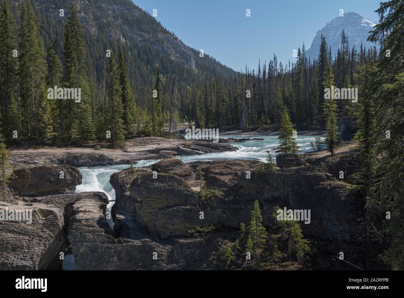 Natural Bridge on the Kicking Horse River in Yoho National Park ...