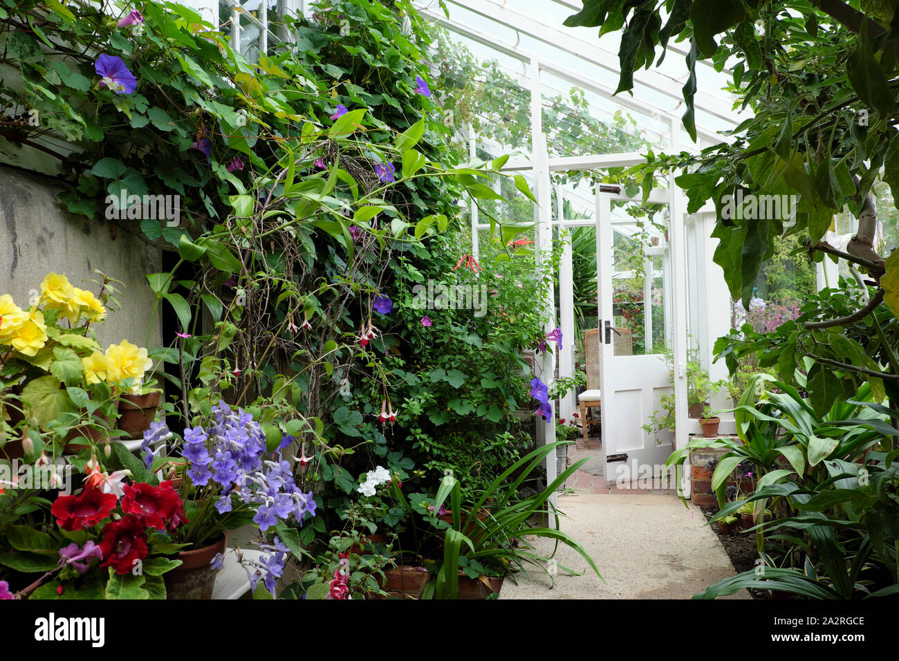 Virginia woolf home hi-res stock photography and images - Alamy