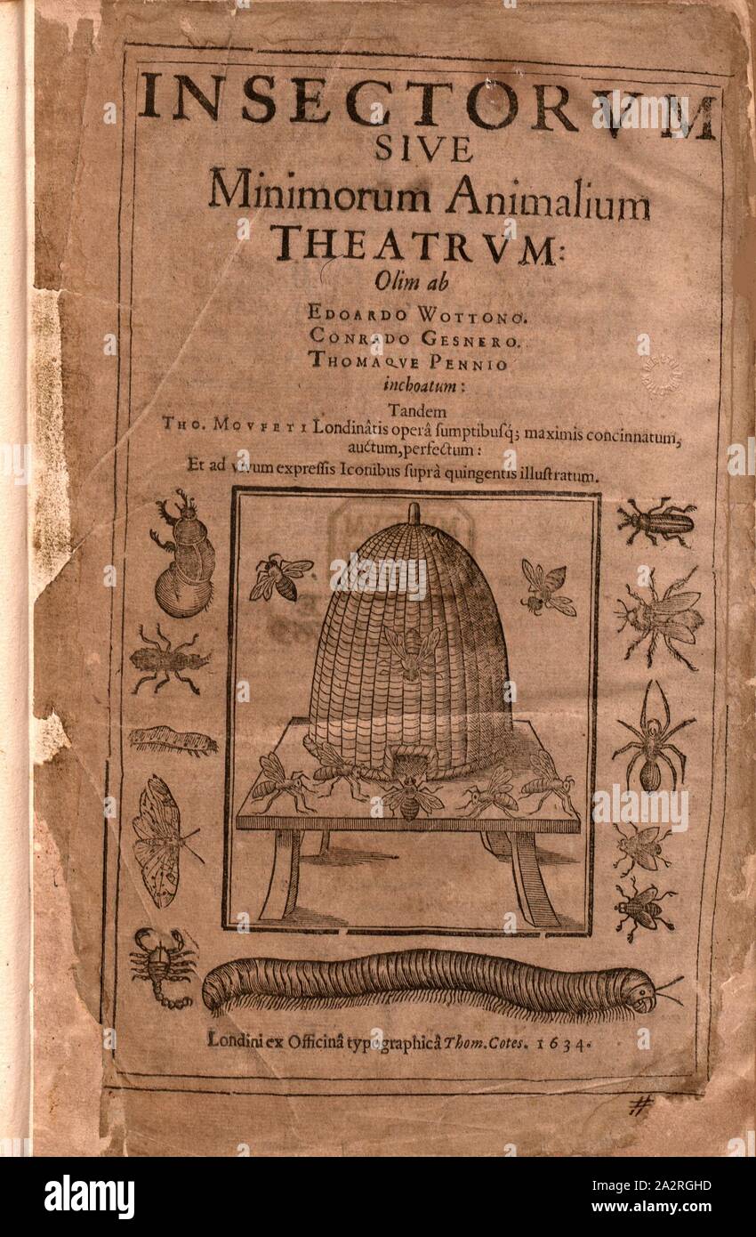 Titelblatt zu insects hi-res stock photography and images - Alamy