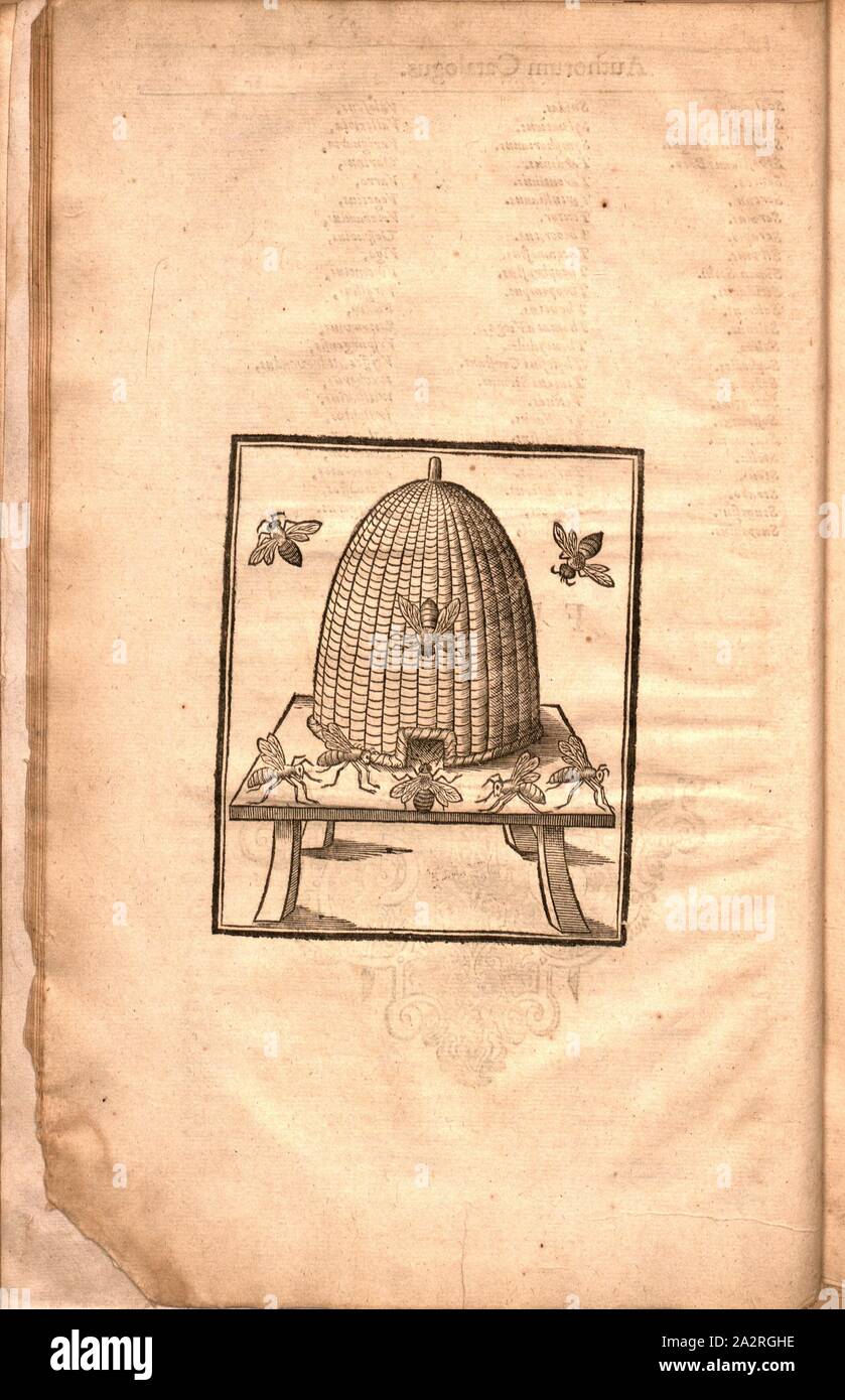 Before insects hi-res stock photography and images - Alamy