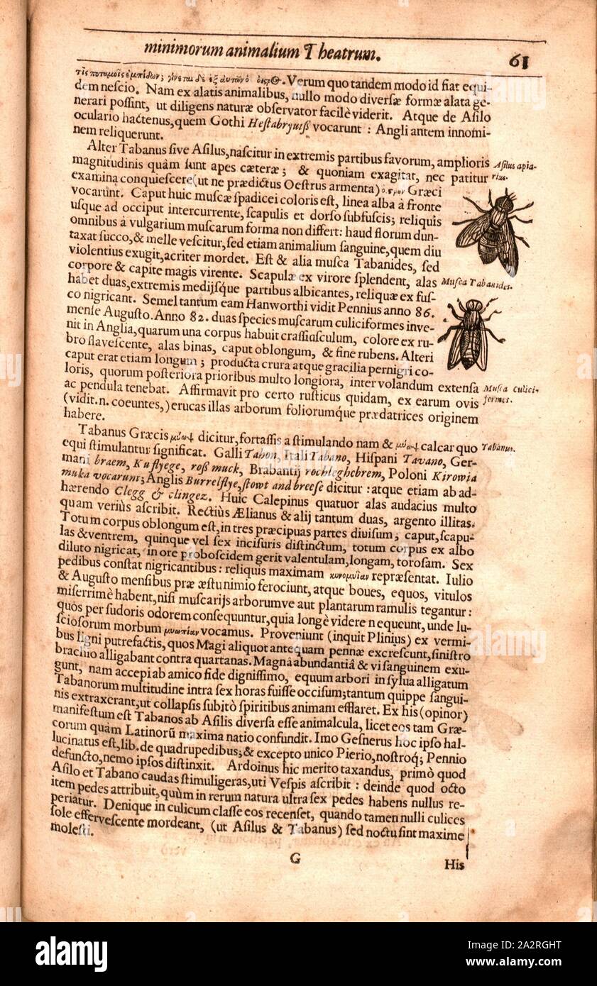 61 species hi-res stock photography and images - Alamy