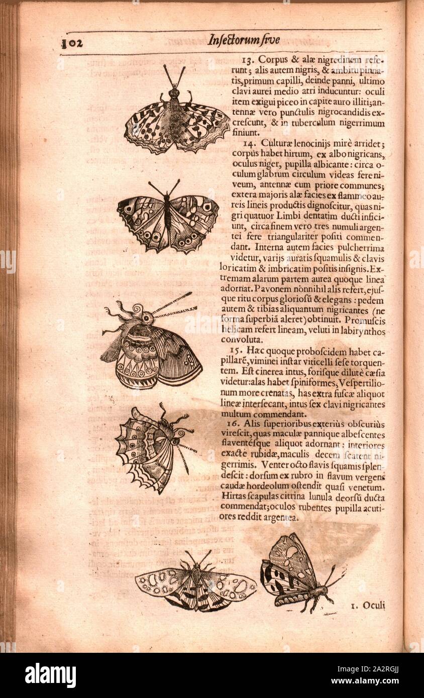 102 species hi-res stock photography and images - Alamy