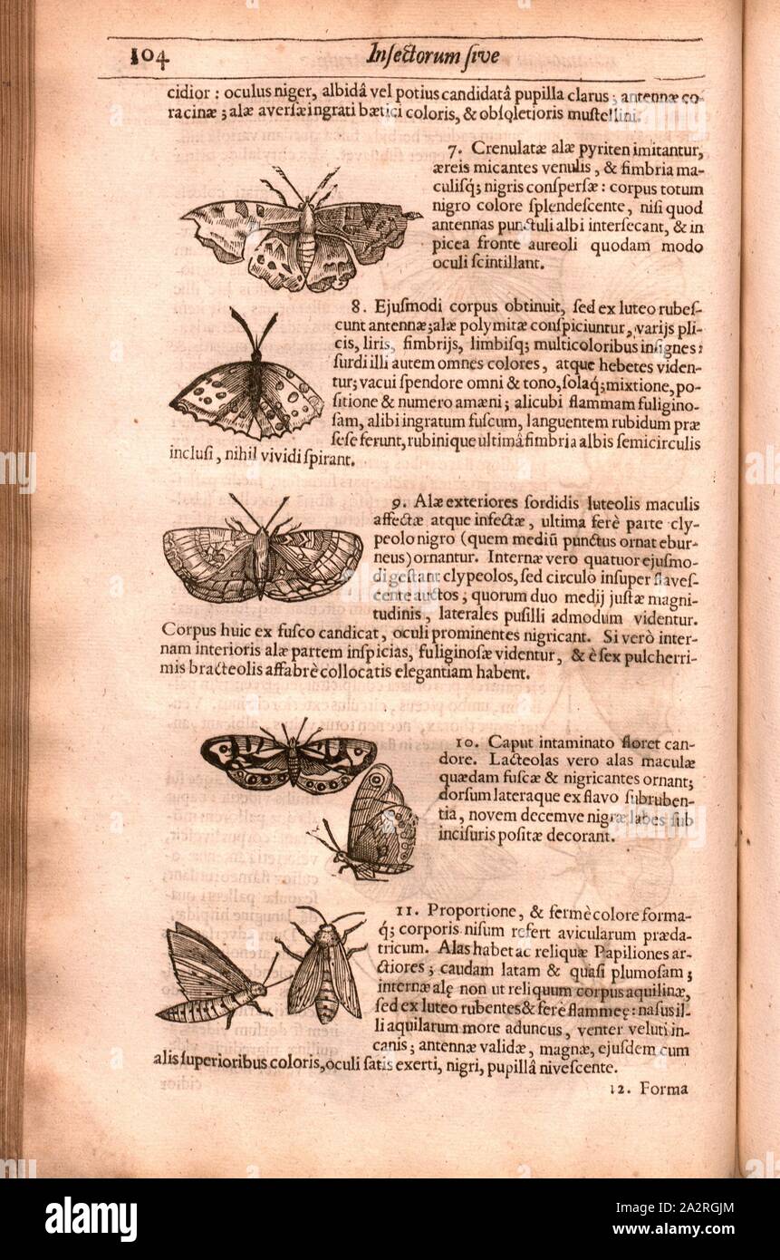 Butterfly newspaper 7 hi-res stock photography and images - Alamy