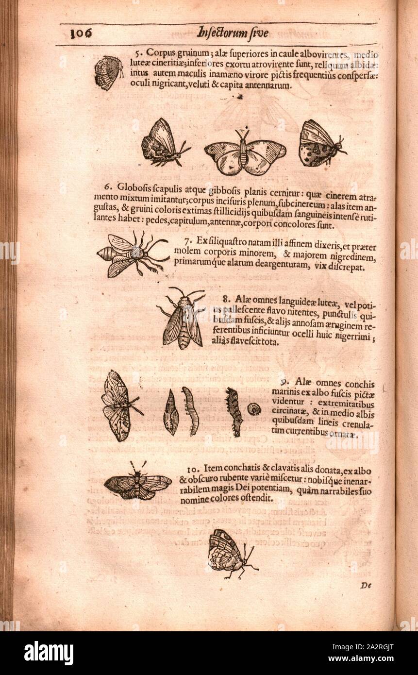 Ad p 106 hi-res stock photography and images - Alamy