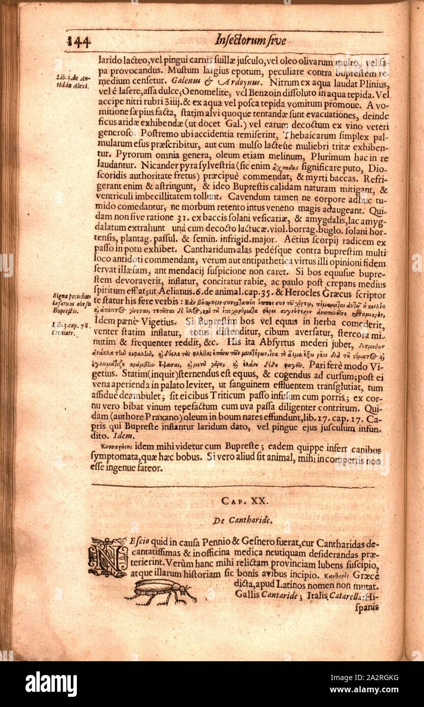 Cantharis 1 hi-res stock photography and images - Alamy