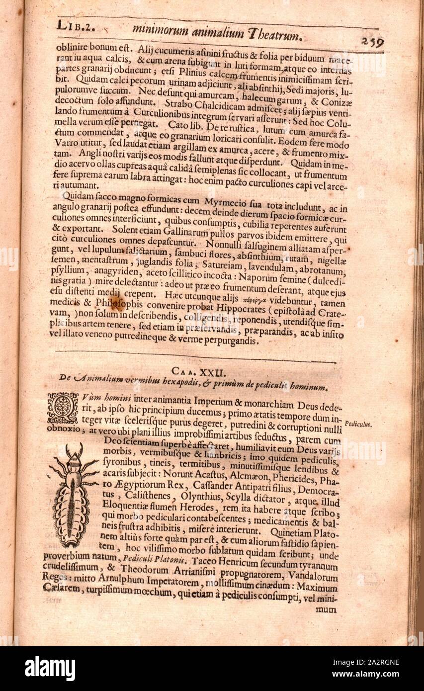 Dressing lice hi-res stock photography and images - Alamy