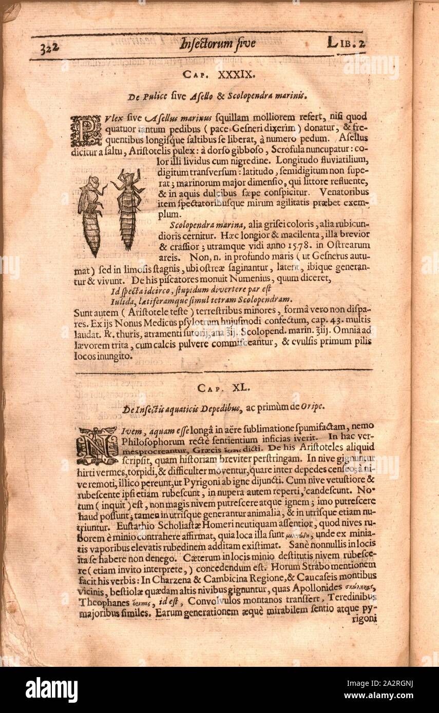 Tandem tho hi-res stock photography and images - Alamy