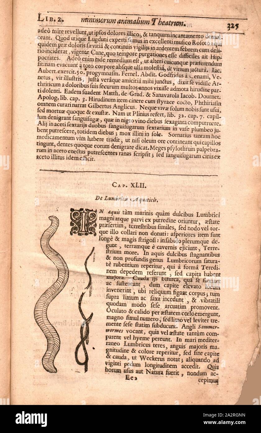 Insectorum sive minimorum animalium theatrum hi-res stock photography ...