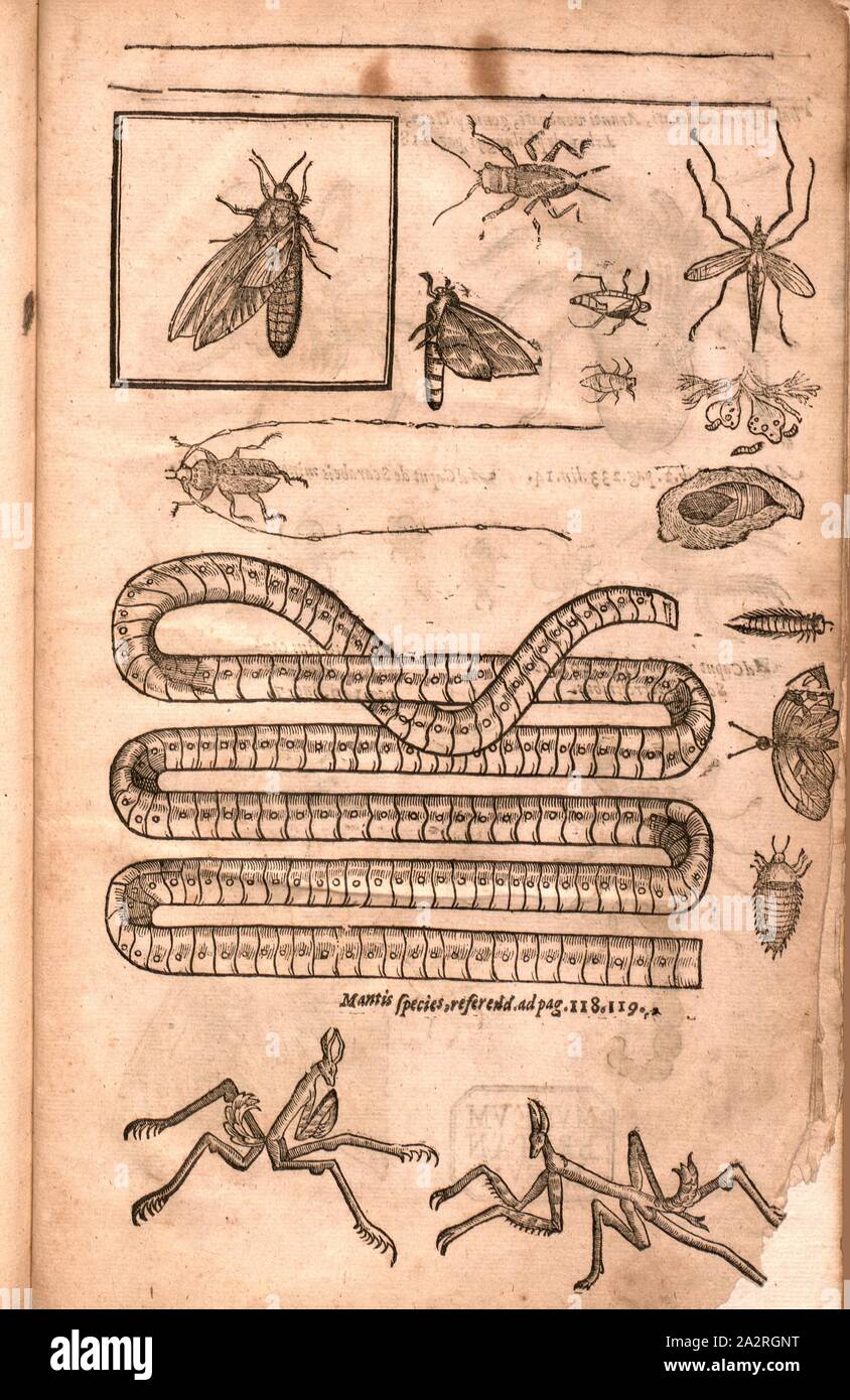 3 different hi-res stock photography and images - Alamy