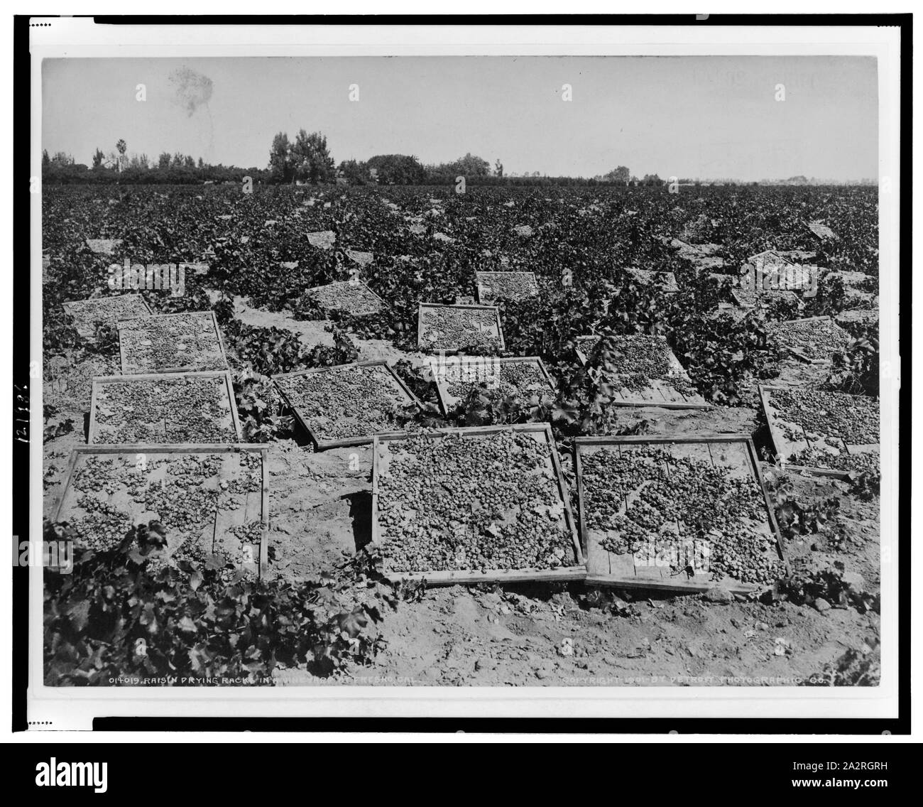 Technology racks Black and White Stock Photos & Images - Alamy