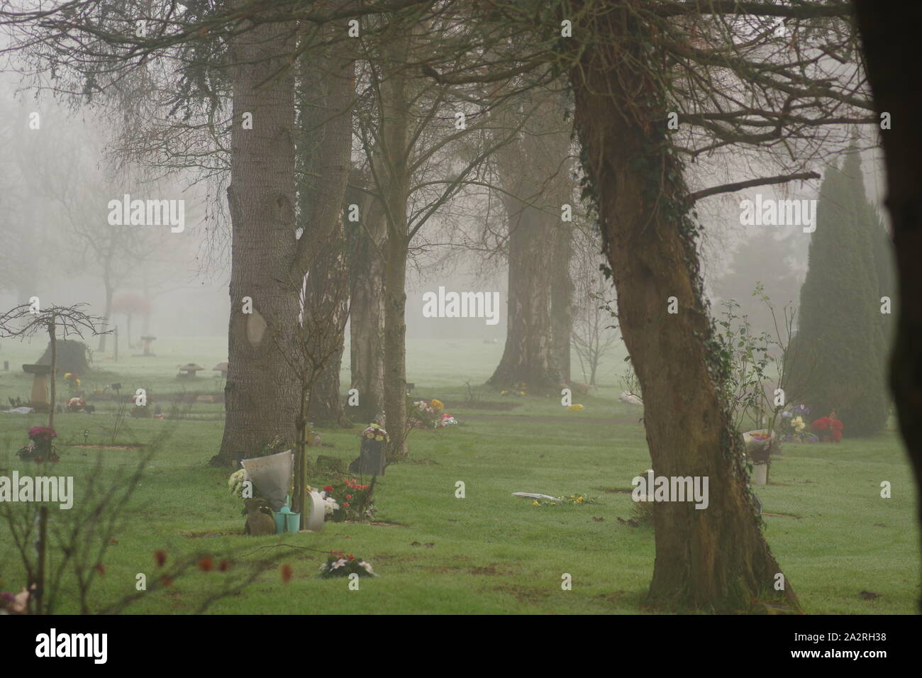 Exeter and Devon Crematorium Remembrance Gardens on a Misty Winters Day ...