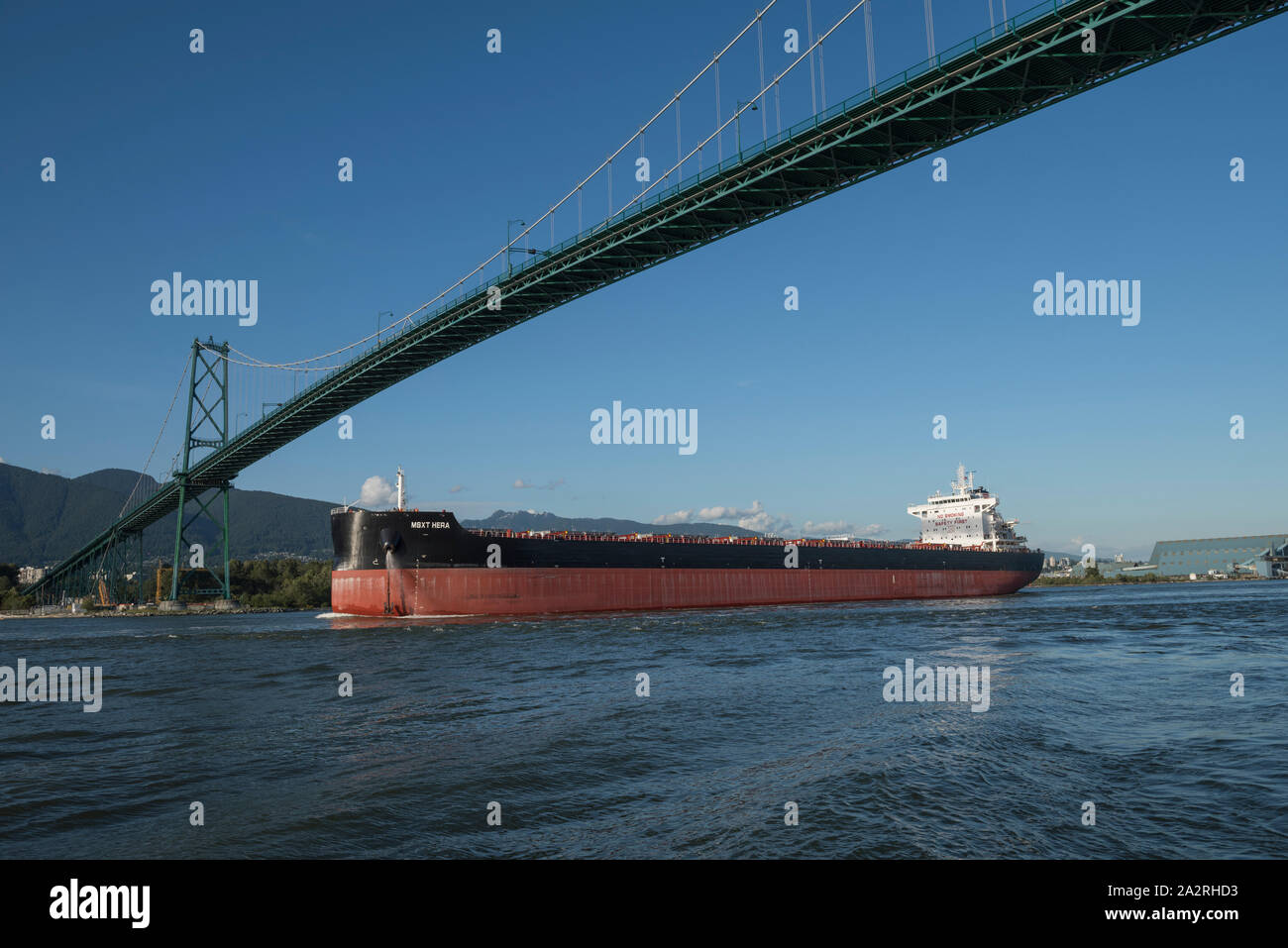 A Bulk Carrier cargo Ship passing under the Lions Gate Bridge ...