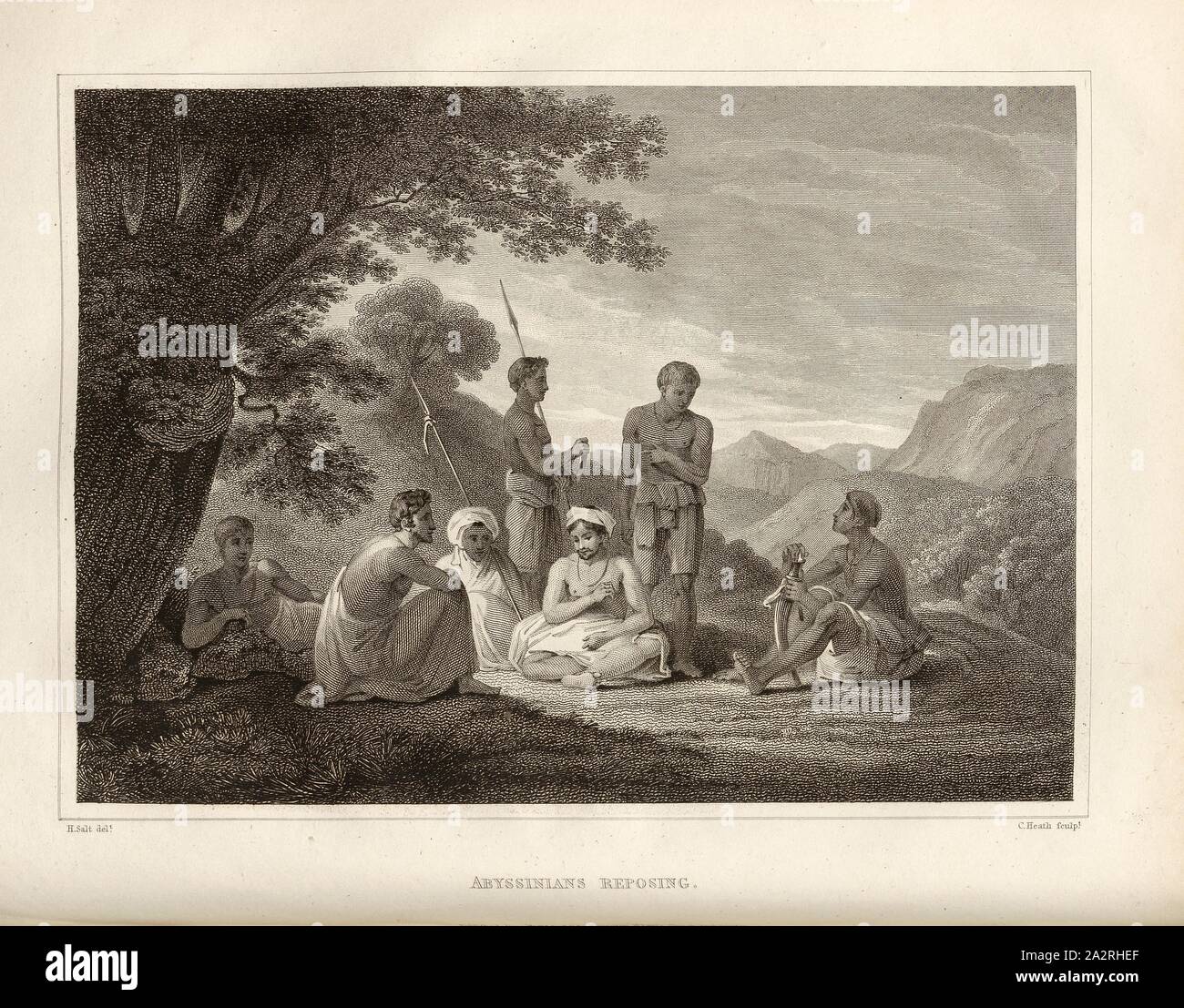 Abyssinians reposing hi-res stock photography and images - Alamy