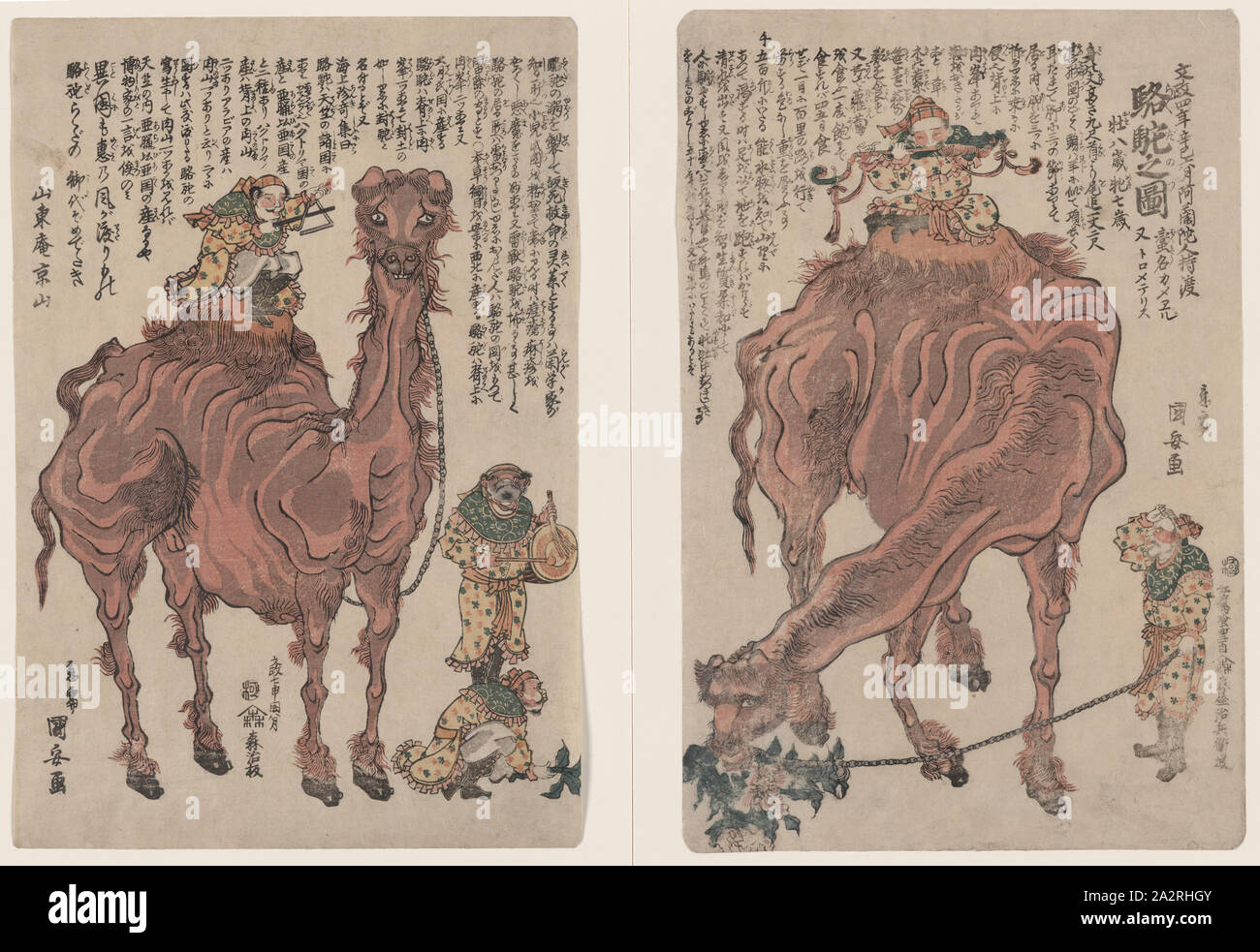 Rakuda no zu Stock Photo - Alamy