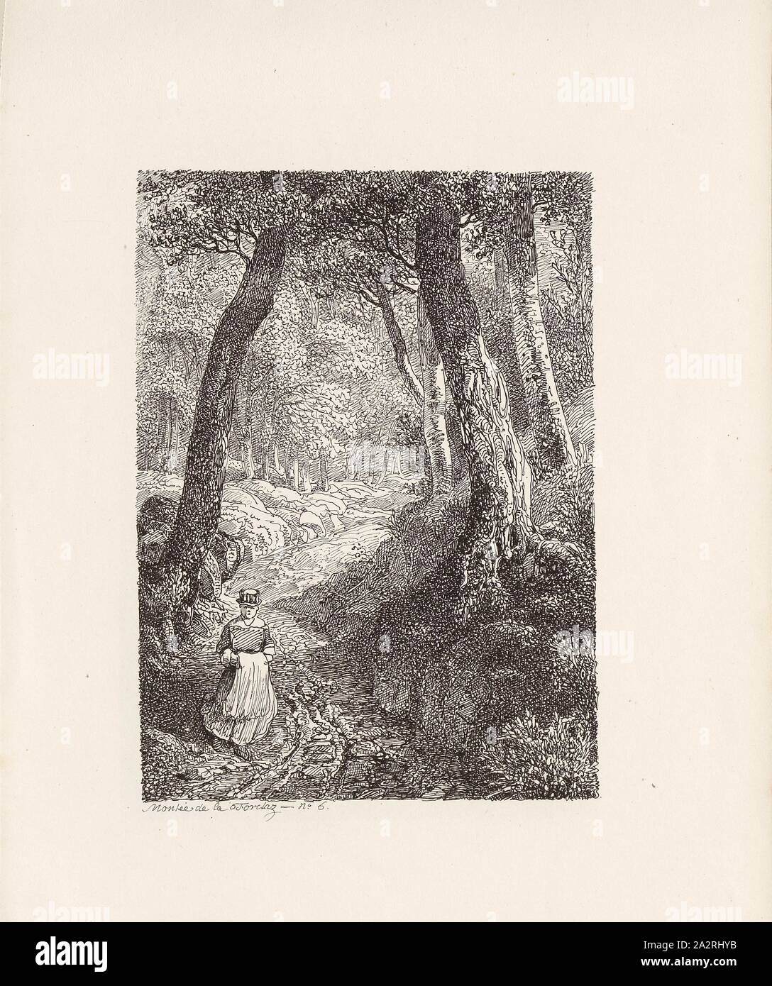 Ascent of Forclaz, View of the forest at the Col de la Forclaz, n. 6, p ...