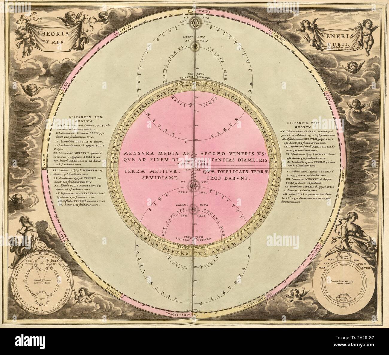 Cellarius hi-res stock photography and images - Alamy