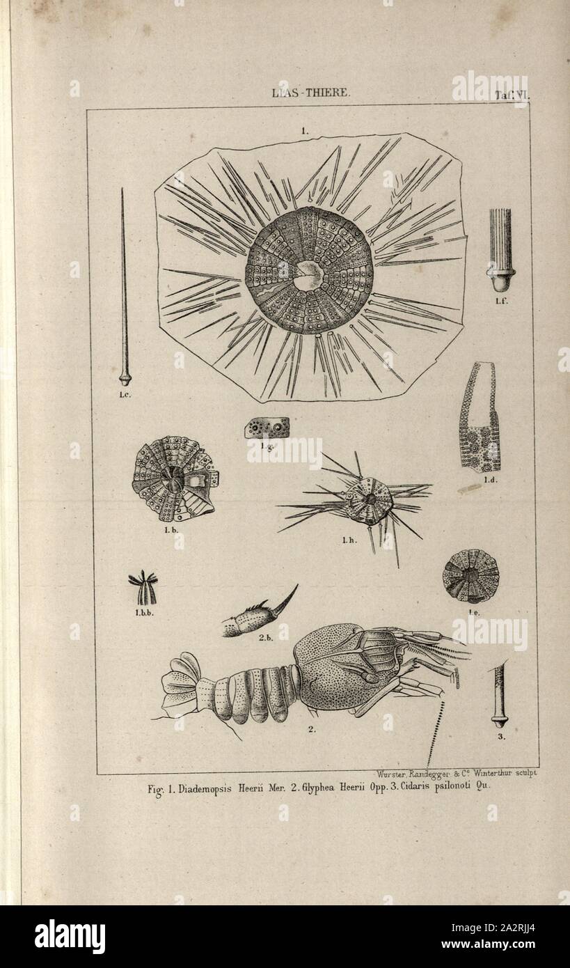 713 hi-res stock photography and images - Alamy