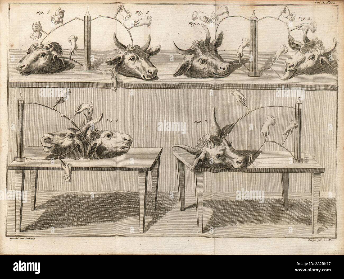 Giovanni aldini hi-res stock photography and images - Alamy