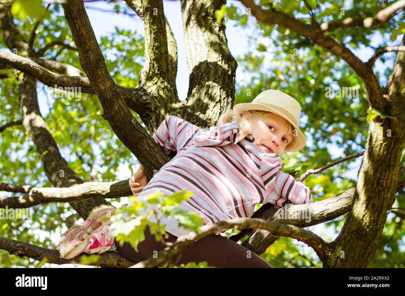 girl climbing into the tree top Stock Photo - Alamy