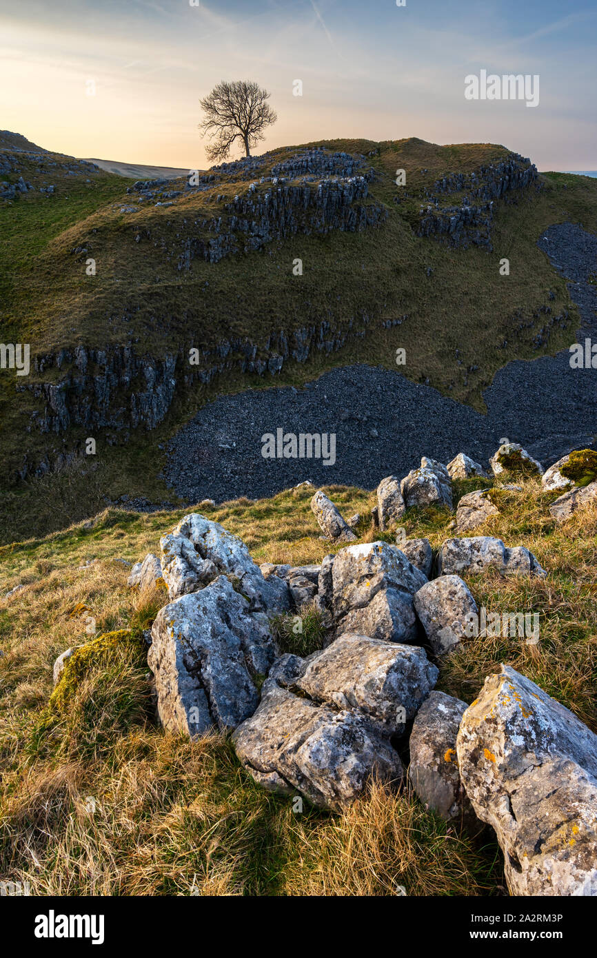 A lone tree is silhouetted against a hazy morning sky amid the ...