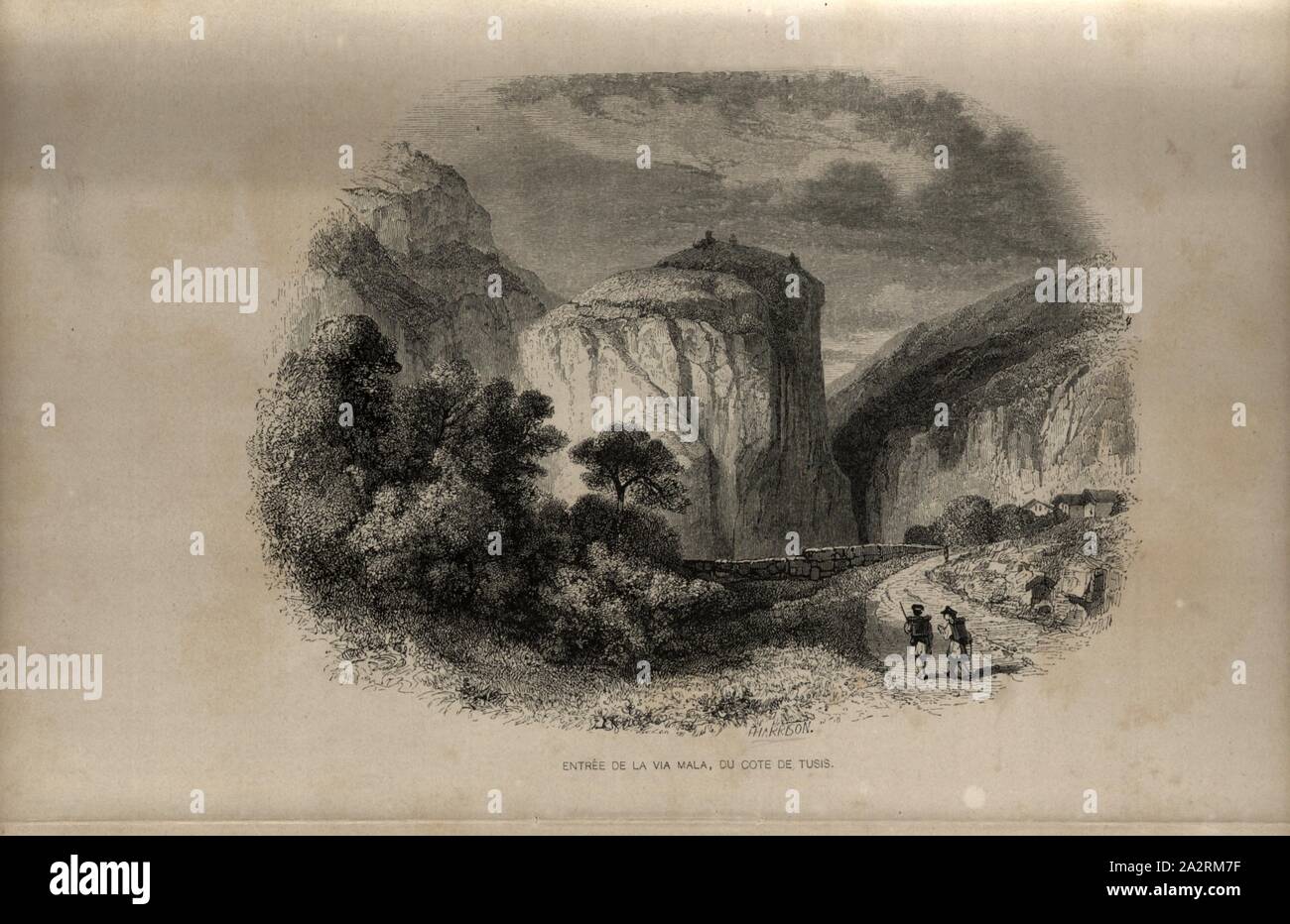 Side of tusis hi-res stock photography and images - Alamy