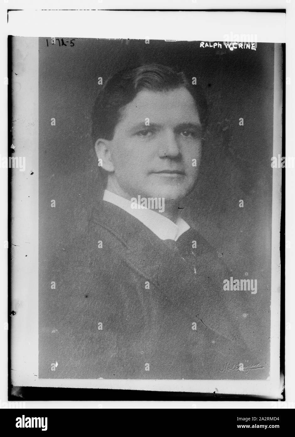 Crine hi-res stock photography and images - Alamy