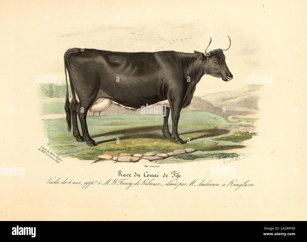 Eichens High Resolution Stock Photography and Images - Alamy