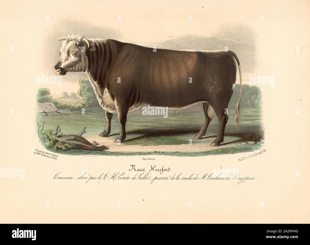 David bull hi-res stock photography and images - Alamy