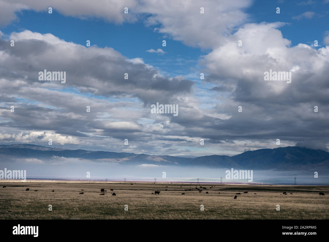 Fort Tejon State Historic Park High Resolution Stock Photography and ...