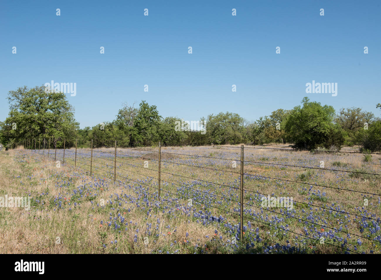 Ranch scene in the Texas Hill Country, near Burnet Stock Photo - Alamy