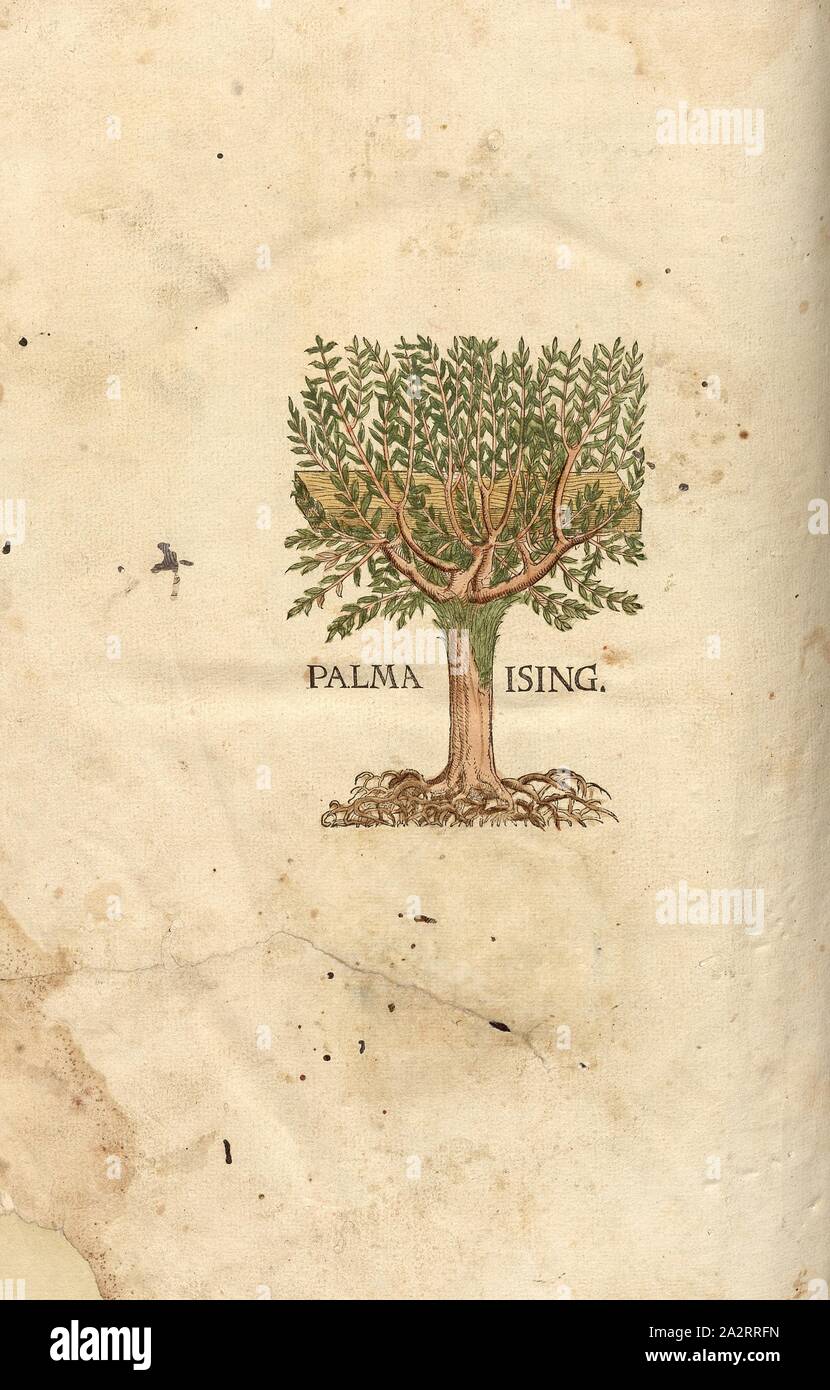 Michael leonhart hi-res stock photography and images - Alamy