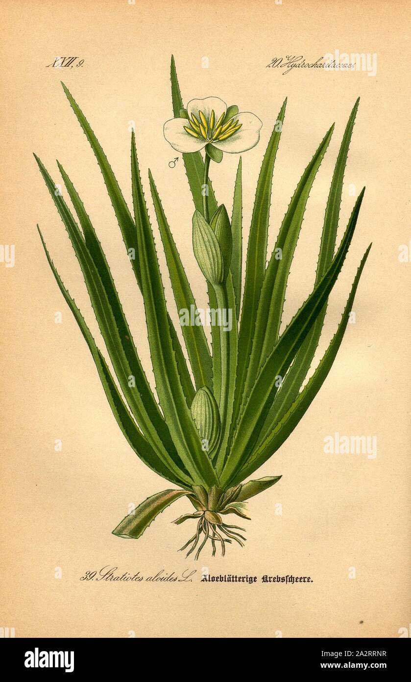 20 und 1 hi-res stock photography and images - Alamy